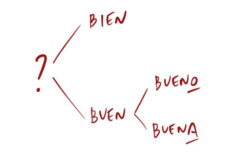 Bien, bueno, buen y buena: diferencias en español y cómo usarlos ...